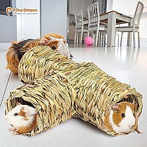 PStarDMoon Hamster Grass Tunnel Toy with Balls Nature's Hideaway Straw House with 4 Open Entrance Guinea Pig Tunnels and Tubes Toys for Rats,Syrian Gerbil,Ferrets,Little Rabbit (Style 1)