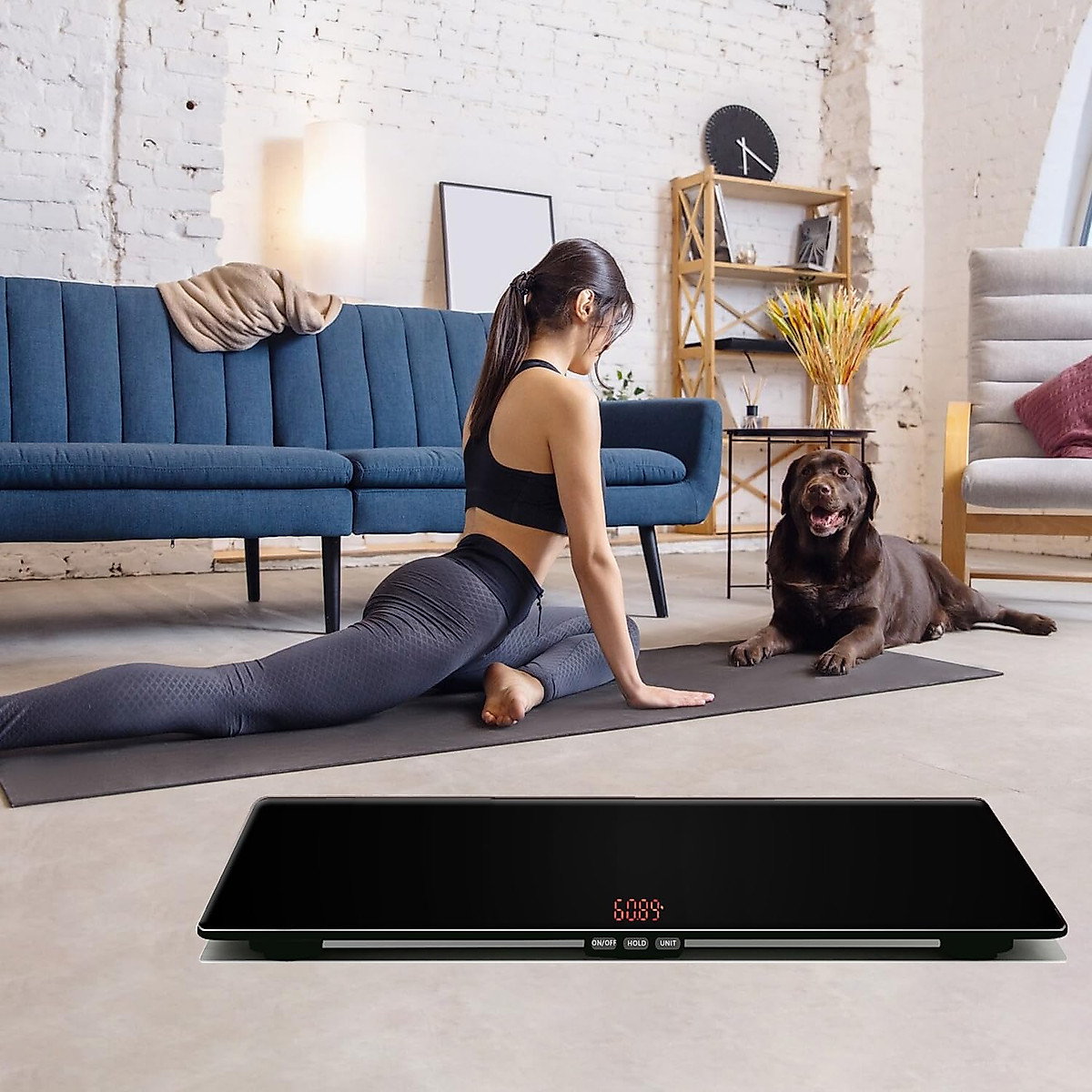 Large Breed Dog Weight Scale, Max Capacity 220 lbs, Surface, Easy Read LCD, Tempered Glass Platform, Includes Comfort Cushion, Ideal for Families and Veterinary Offices, XL(31.5inches)