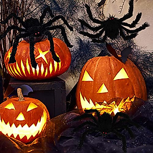 Halloween Giant Spider,Pack of 5 Fake Large Hairy Spiders,Realistic Black Spider for Halloween,Yard,Garden,Lawn,Outdoor & Indoor Decor(12'',12'',20'',24'',50'')