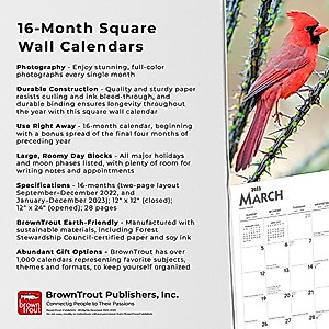 Cardinals | 2023 12 x 24 Inch Monthly Square Wall Calendar | BrownTrout | Animals Wildlife Red Birds