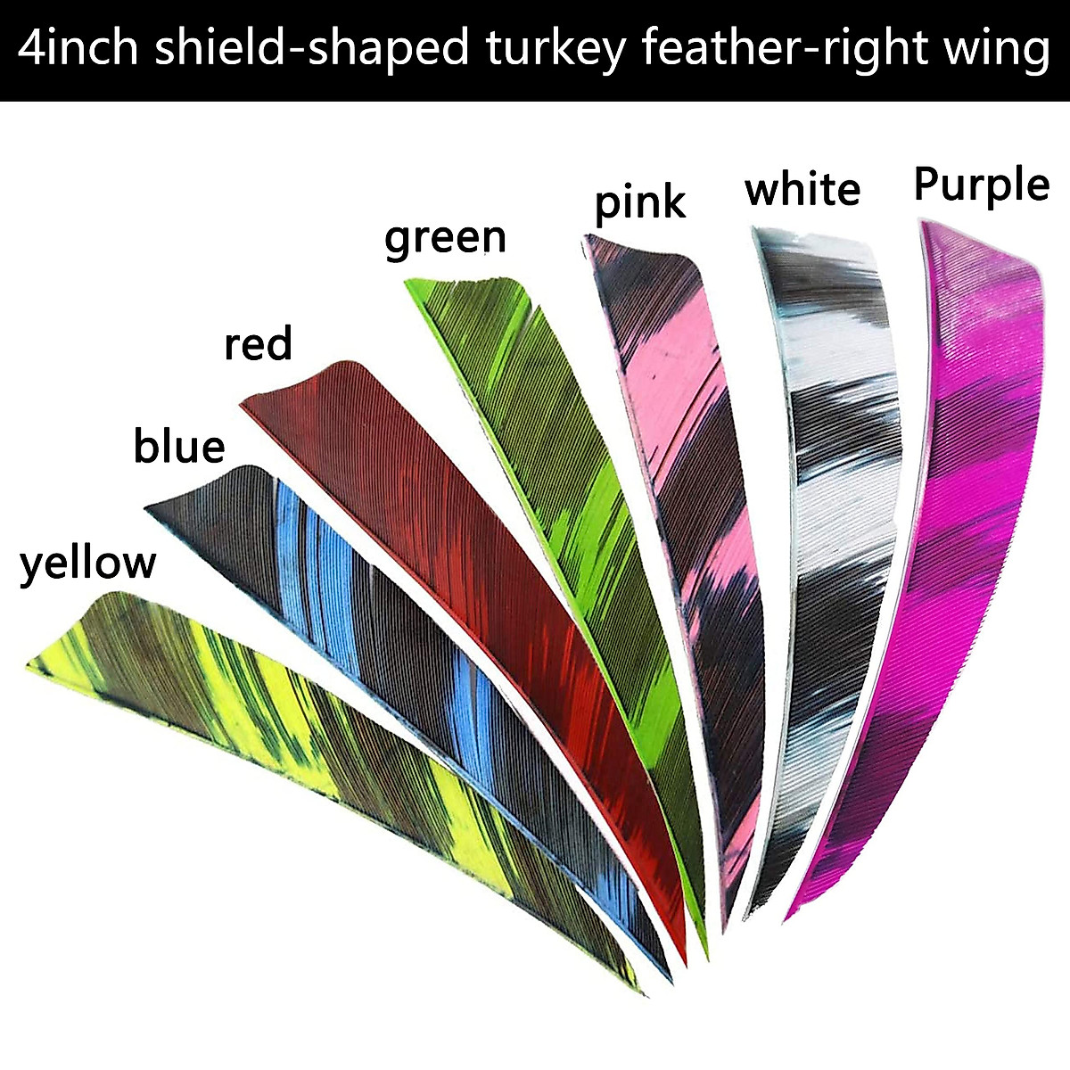 AMEYXGS 4 Inch Arrow Feather Fletching Turkey Feather Natural Arrow Vanes Shield Right Wings Vanes for DIY Arrows Accessories 50Pcs (White)