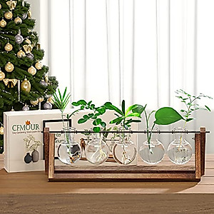 CFMOUR Plant Terrarium with Wooden Stand, Desktop Propagation Stations Glass Air Planter Metal Swivel Holder for Indoor Live Hydroponics Plants Office Home Garden Decor (5 Bulb Vase)