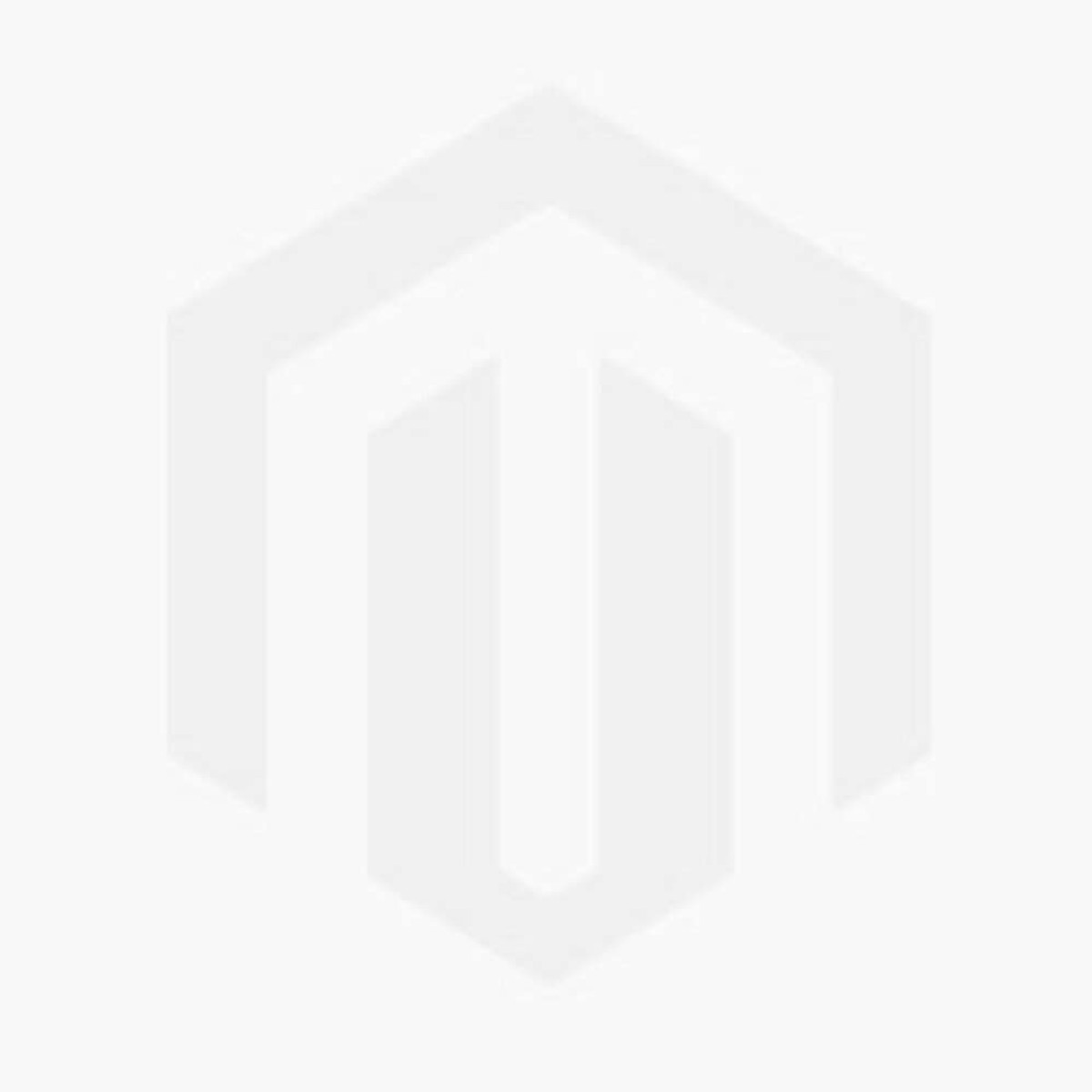 Dirty Larry Renegade Cop Atari Lynx