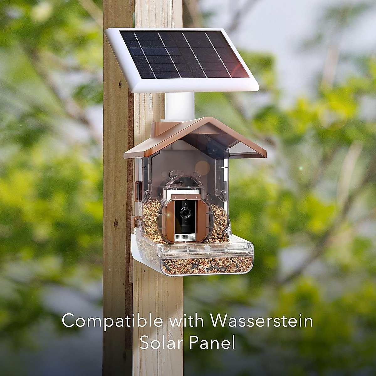 Wasserstein Bird Feeder Camera Case Compatible with Blink, Wyze, and Ring Camera for Bird Watching with Your Security Cam - (Camera NOT Included)