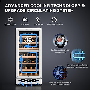 UNTOMAX 33 Bottles Wine Fridge Dual Zone Wine Cooler Refrigerator, 41-68℉ Freestanding Wine Cellar Built In for Red/White/Champagne, Temperature Memory Quiet Compressor Kitchen/Office, Stainless Steel