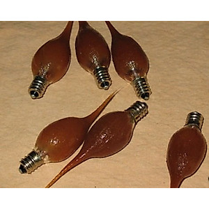 On The Bright Side - SCENTED Silicone Light Bulb - Pack of 3 - Cinnamon Stix