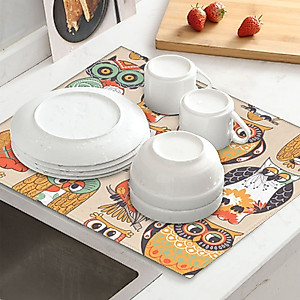 Owl Dish Drying Mat For Kitchen Counter Decor And Accessories 16 X 18 Inch Microfiber Dish Drainer Rack Mats