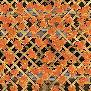 Fall Leaf Garland - Fall Leaves Decor Autumn Leaf Garland Hanging Vines Artificial Fall Maple Leaves 12 Pack - Thanksgiving Halloween Leaves Garland Christmas Decor for Home Garden Party Fireplace