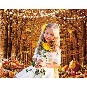 CYLYH 8x6ft Fall Photography Backdrop Autumn Maple Forest Leaves Pumpkin Party Background Thanksgiving Party Supplies Farm Harvest Event Banner Thanksgiving Photo Booth Props CY579
