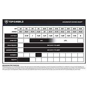 Top of the World Michigan Wolverines Men's Relaxed Fit Adjustable Hat Team Color Primary Icon, Adjustable