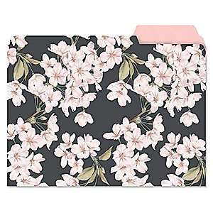 Current Charcoal & Coral File Folders Value Pack - Bulk Set of 24, 6 Pretty Decorative Designs, 1/3 Cut Tabs, Heavy-Duty Paper Stock, Office Supplies for Home & Work, 9-½” x 11-¾” Letter Size