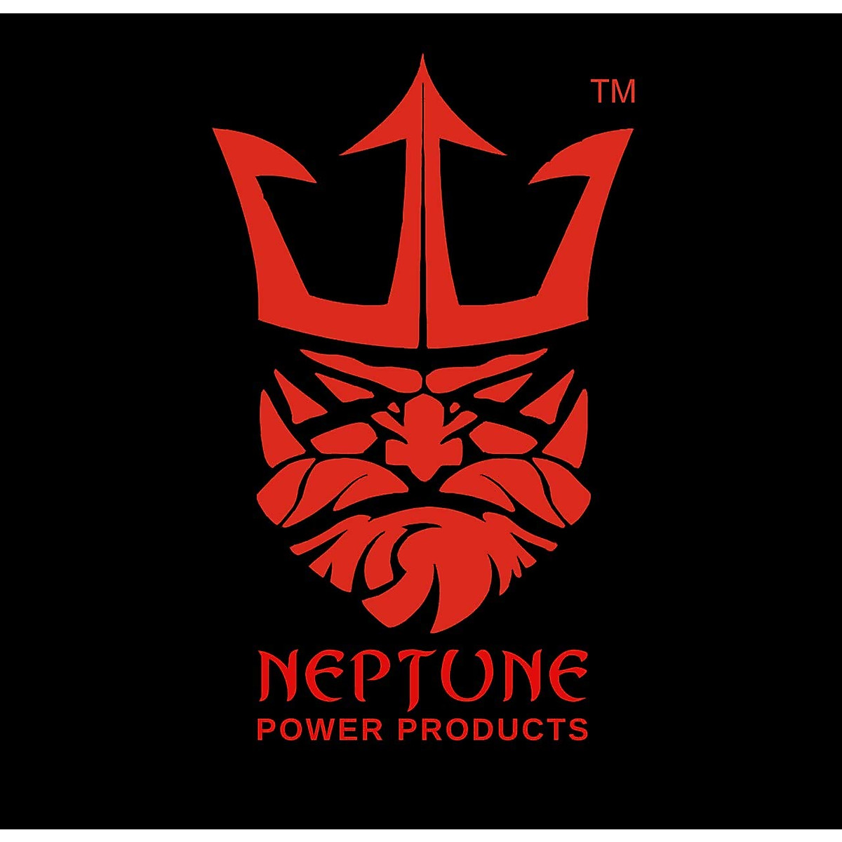 Neptune Brand 6V 12Ah SLA Replacement Battery for Tripp-Lite SMART700RM UPS Battery - 2 Pack