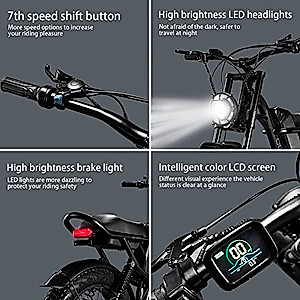 Electric Bike for Adults1000w Electric Bicycle 20 * 4.0 inch Fat Tire Ebike, Ebike for Adults Electric Bike (Black)