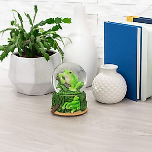 Elanze Designs Playful Green Tree Frog Tabletop Figurine Forest Hopping Log Leaves 100MM Sturdy Glitter Water Wind Up Musical Snow Globe Plays Tune Beautiful Dreamer