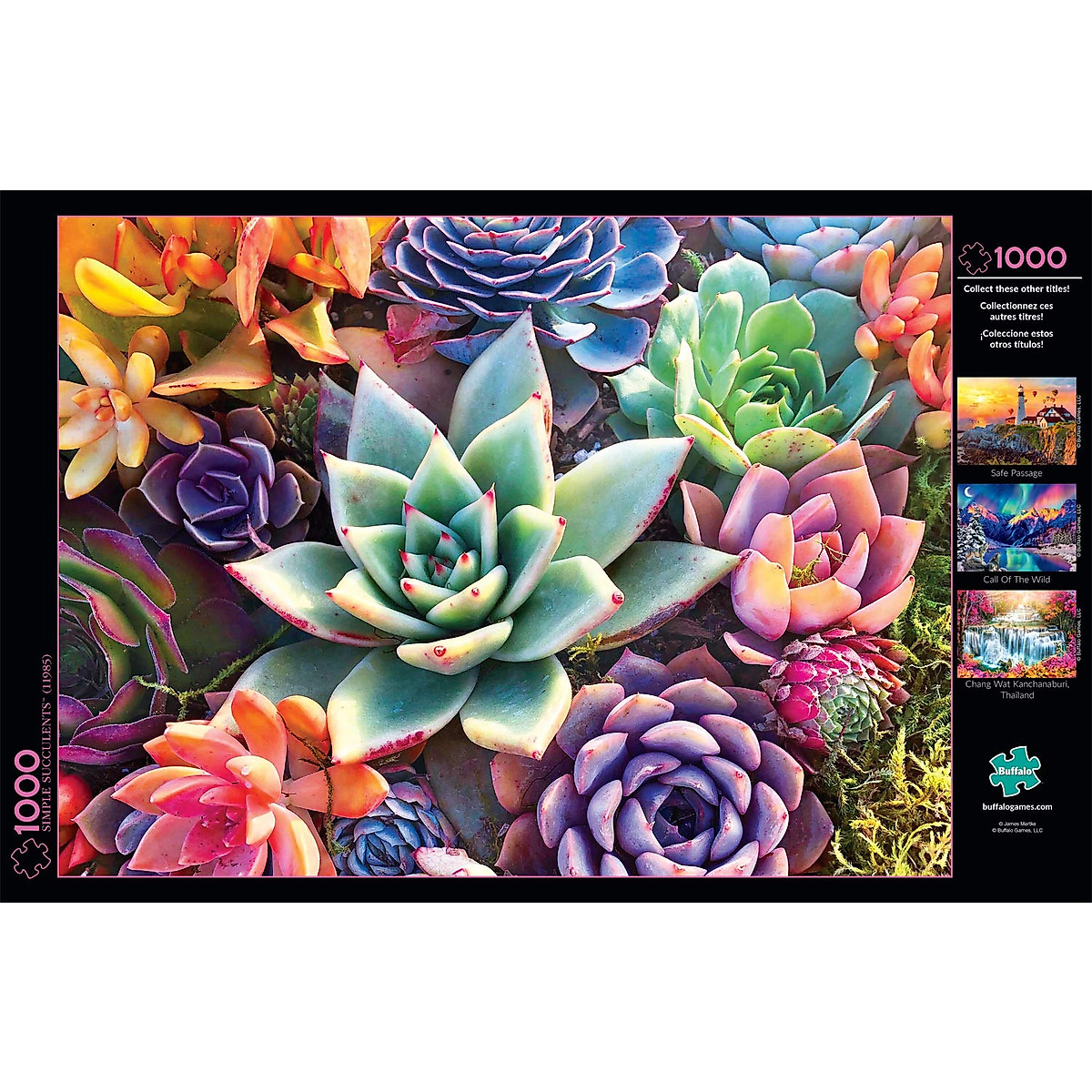 Buffalo Games - James Mertke - Simple Succulent - 1000 Piece Jigsaw Puzzle For Adults - High Quality Challenging Puzzle Perfect for Game Nights - Finished Puzzle Size is 26.75 x 19.75