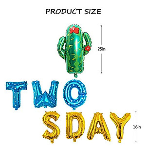 Boy Taco Twosday Birthday Party Decorations, Taco Twosday Balloons Cactus Fiesta Themed Banner for Taco 2sday Birthday Taco 2nd Birthday Party Supplies 14PCS Kit of Qinsly (Blue, Taco 2sDay)