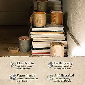 Paddywax Candles Dune Scented Soy Wax Candle, 8-Ounce Ceramic Jar with Burnished Cork Lid, Saltwater Suede