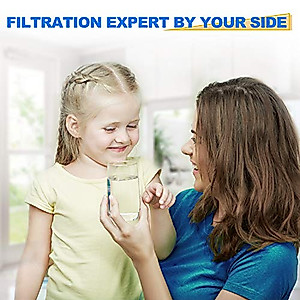 GOLDEN ICEPURE 5 Micron 10" x 4.5" Whole House Sediment Activated Carbon Water Filter Compatible with GE FXHTC, GXWH40L, GXWH35F, GNWH38S Universal Water Filter System 2pack