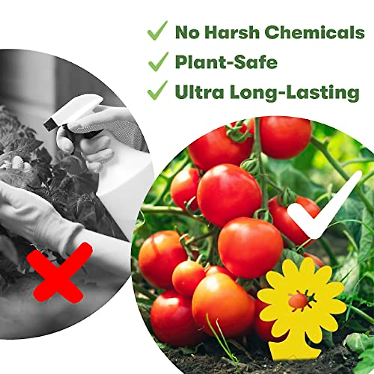 BugMD Sticky Bug Traps (12 Pack) - Indoor Fruit Fly Killer, Fungus Gnat Killer, Plant sticky traps for Bugs, Yellow Sticky Fly Traps for Plants, Gnat for Plants, Odorless