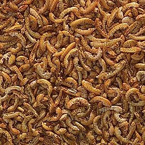 Tetra TetraMin Select-A-Food 2.4 Ounces, Fish Flakes, Variety Pack