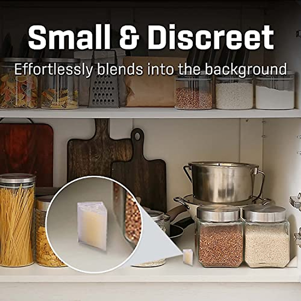 Exterminator’s Choice - Bug Bistro - Reusable Ant and Cockroach Bait Box - Serves Bugs Their Last Meal - Keeps Bait Contained But Available for Bugs - 2 Pack