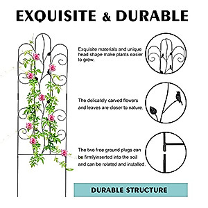 XYADX Metal Garden Trellis for Climbing Plants & Roses 61''x 18.5" Plants Support Rustproof Sturdy Leaves Garden Trellis for Vegetables Trellis for Potted Plants Pack of 2 - Black
