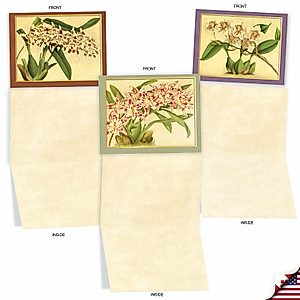 The Best Card Company - 10 Boxed Note Cards with Flowers - Blank Assorted Floral Notecards Bulk (4 x 5.12 Inch) - Tiger Orchids M10037BK