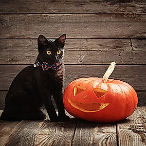 PTDECOR Halloween Cat Collars with Bow Tie Bell, 2 Pack Breakaway Kitten Collar with Removable Bowtie Pumpkin Halloween Collar for Girl Boy Cats (Black & Yellow)