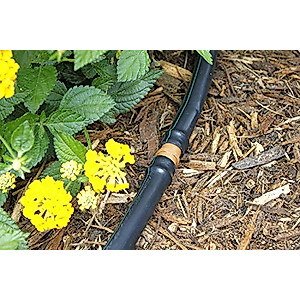 Habitech 1/2" Coupling Drip Irrigation Fittings (12 Pack) - Barbed Drip ...