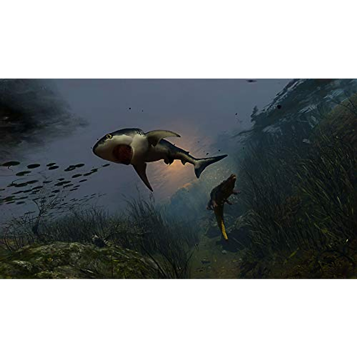 Maneater - PlayStation 5