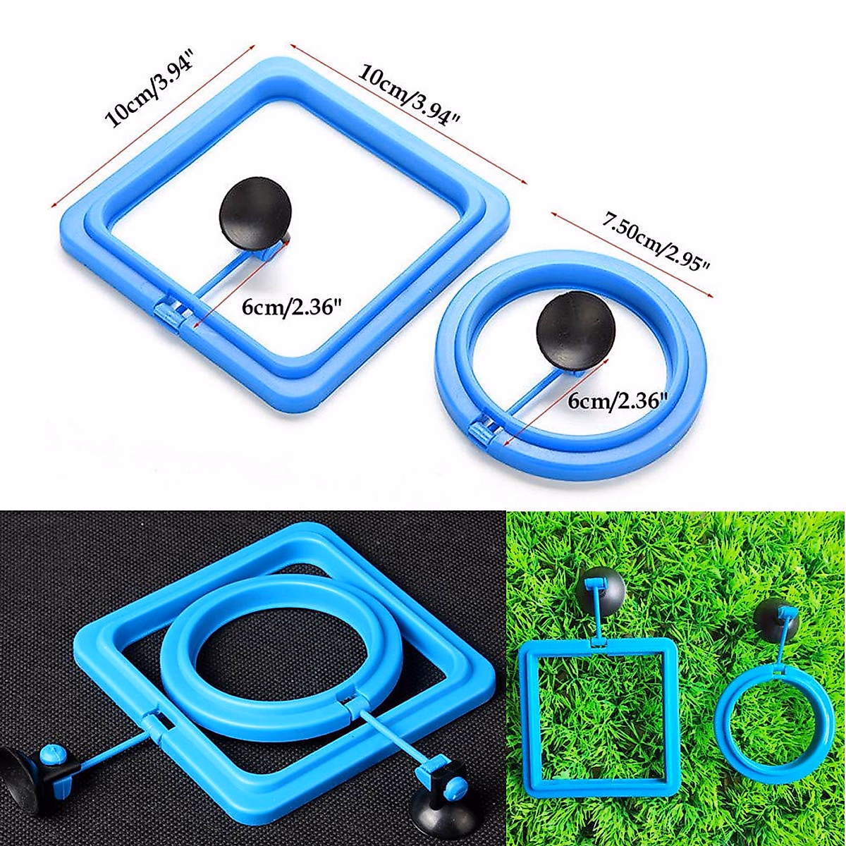 2 Pcs Fish Feeding Ring, Fish Safe Floating Food Feeder Circle Blue, with Suction Cup Easy to Install Aquarium, Square and Round Shape Fish Tank Towels - for Guppy, Betta, Goldfish, Etc. (Blue)¡­