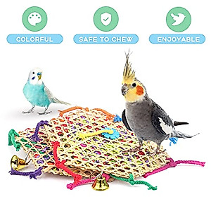 AK KYC Bird Parrot Toys，2 Pack Bird Hanging Foraging Shredder Toys for Small Medium Small Bird Conure Cockatiel Parrotlet Lovebird Budgie