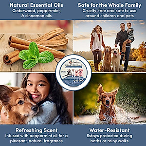 Flea and Tick Collar for Dogs and Cats- Long-Lasting 8-Month Protection Using Natural Plant-Based Oils - Safe for Pets, People and The Environment - 2-Pack Flea Collar for Dogs and Cats