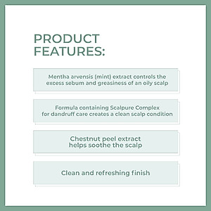 AMOS PROFESSIONAL Pure Smart Shampoo [Fresh – For Oily Scalp] 17.6oz (500g) | Sebum Care & Scalp Soothing | Korean Hair Salon Brand