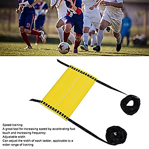 plplaaoo Agile Ladder Football Step Training Rope Ladder Agile Training Speed Ladder with Scale 6m 12 Rungs Workout Ladder for Ground Ladder Drills Speed Training Kit Set for Soccer Boxing Footwork
