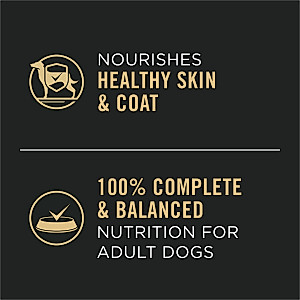 Pro Plan High Protein Wet Dog Food - Chicken & Vegetable Entrée - (12) 13oz Cans