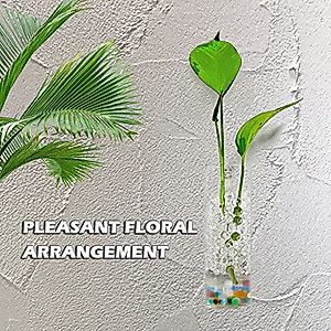 Bunhut Wall Planters for Indoor Plants,Wall Hanging Terrarium Planters,Glass Wall Planters for Floral Arrangement,Hanging Plant Holder, Wall Vase,Wall Mounted Planters (4 Glass Wall Planter)
