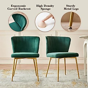 HAIZAO Modern Green Velvet Dining Chairs Set of 2, Curved Backrest Upholstered Kitchen Dining Room Chairs, Mid-Century Dining Chair with Golden Metal Legs
