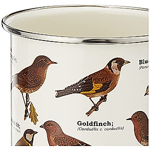 Gift Republic Garden Birds Enamel Mug, 1 Count (Pack of 1), Multicolor, 450 milliliters
