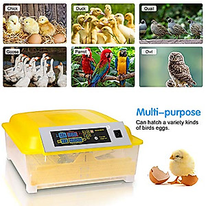 Egg Incubator 48 Eggs Fully Automatic Digital Poultry Incubator with Fahrenheit Temperature and Auto Turning for Hatching Chicken Duck Goose Quail Bird, Egg Hatcher Breeder Incubator Gift Set for Kids