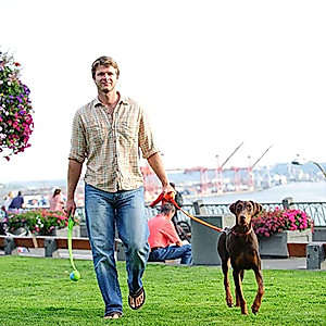 ChuckIt! Junior 18M Dog Ball Launcher, 18" Length, Includes Medium Ball (2.5") For Dogs 20-60 Pounds