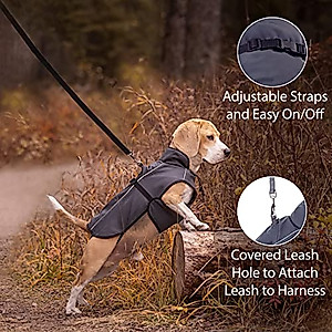 LUCOLOVE Dog Winter Coat - Waterproof Heat-Retaining Insulated Vest - Easy On/Off and Lightweight - for All Weather Conditions - Suits Very Small to Very Large Dog Breeds (L)