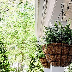 WaterLuu 12 Pcs String Light Hooks, Q Hanger Hooks with Safety Buckle for Ceilling Plants, Windproof Outdoor Light Hooks for Hanging Patio Lights, Christmas Lights & Plants 2.2 Inch