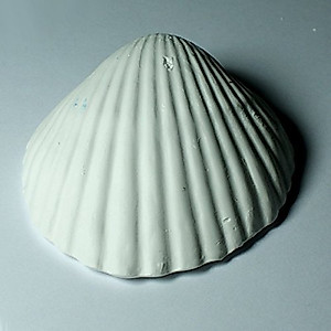 (4 Packages) Weco Wonder Shell Natural Minerals (3 Pack), Small - Total of 12 Shells