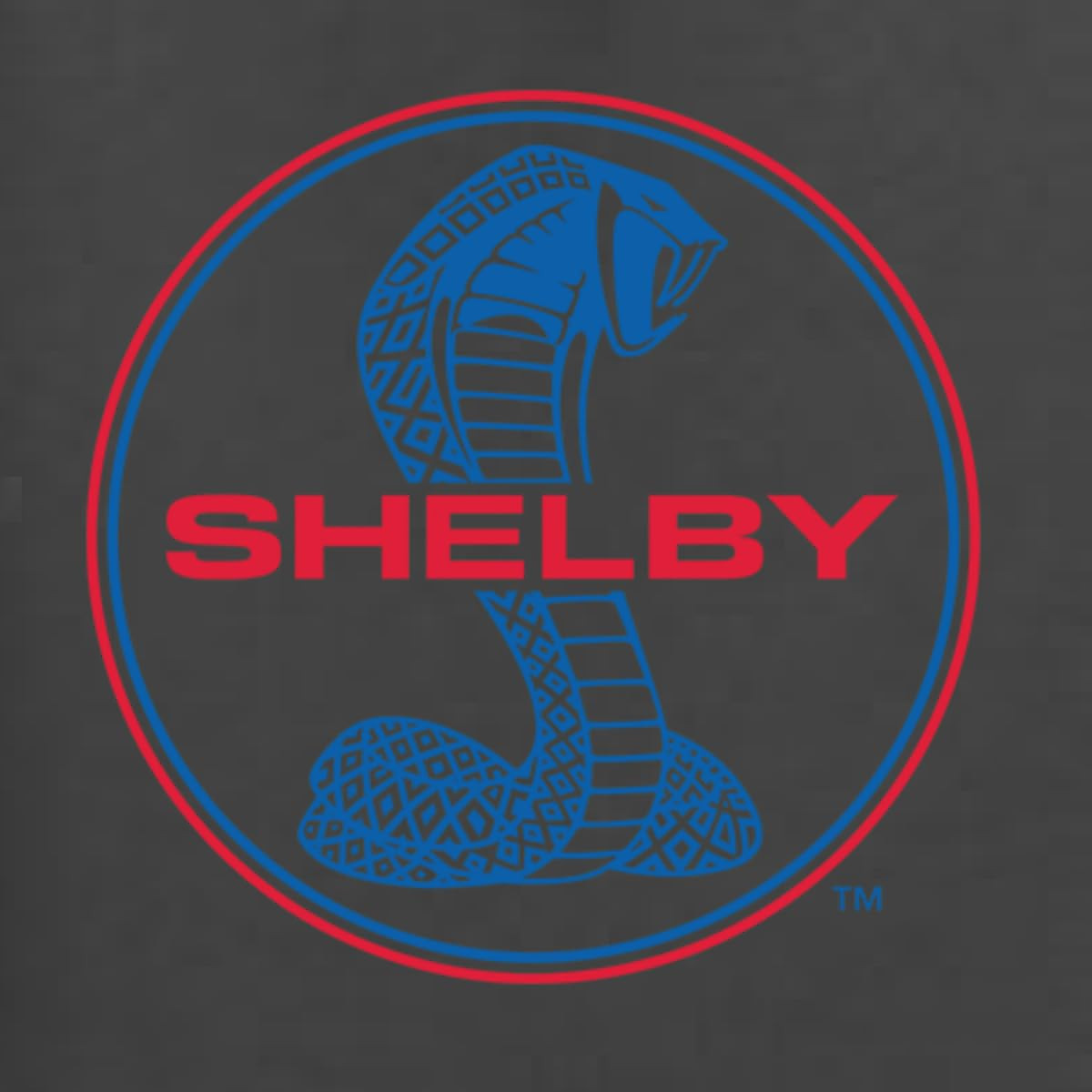 Wild Bobby Shelby Cobra USA Logo Emblem Cars and Trucks Unisex Hoodie Sweatshirt, Charcoal, Medium