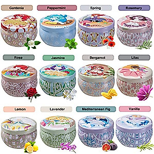 Bauhinia 12 Constellations Scented Candles Soy Wax Tin Candles, Natural Fragrance Candles for Stress Relief and Aromatherapy Candles Set of 12