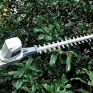 40V Cordless Pole Hedge Trimmer Long Reach 20" Cutting Length 6 Position Adjustable Head with Battery and Charger