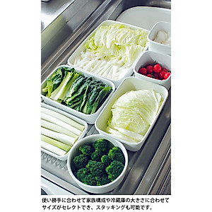 野田琺瑯(Nodahoro) Noda Enamel Rectangle deep M White Series WRF-M
