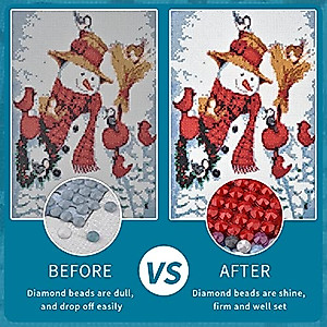 LANBEIDE Updated Diamond Painting Sealer 200ML with Silicone Brush, 5D Diamond Painting Glue Sealer Permanent Hold & Shine Effect Conserver for Diamond Painting and Jigsaw Puzzles (7 OZ)