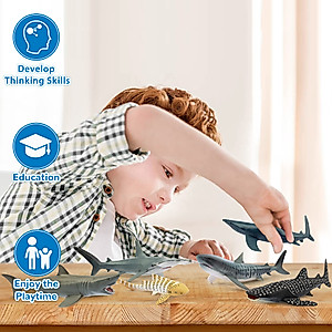 Toymany 14-Piece Realistic Sea Animal Figurines Set: 2-6" Ocean Creatures Including Whales, Sharks, Dolphin - Perfect for Cake Toppers & Gifts for Kids